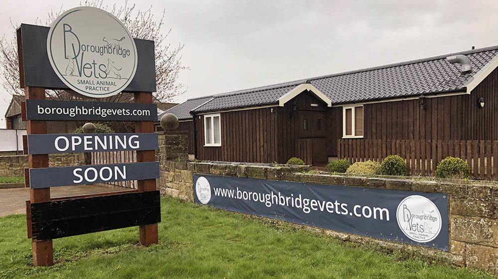 Boroughbridge Vets | Small Animal Practice